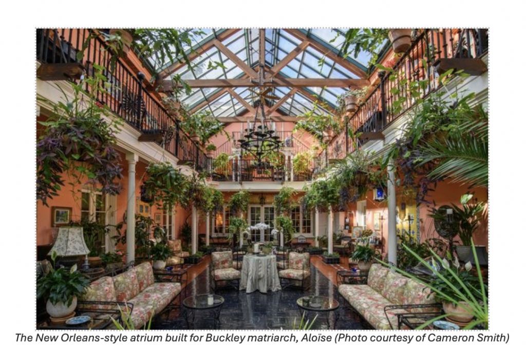 The Buckleys and a Great Elm - Yankee Institute